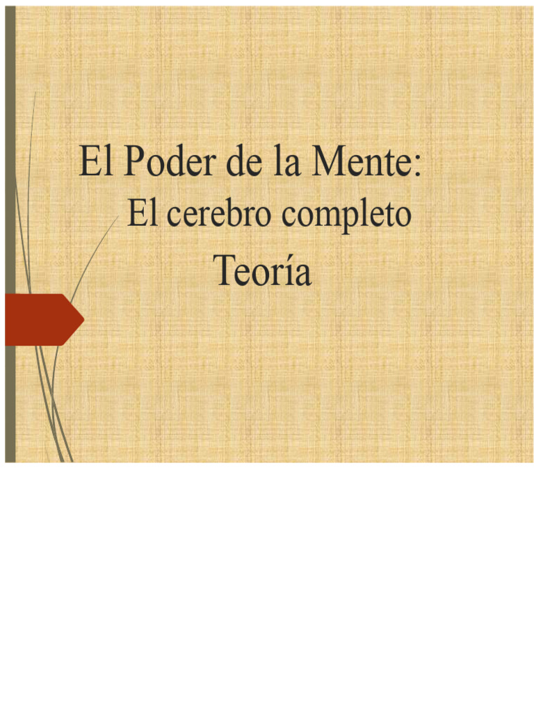 Teoría del Cerebro Completo y Aprendizaje | PDF | Cerebro | Hemisferio ...
