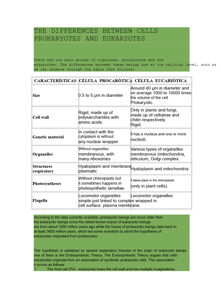 The Differences Between Prokaryotic and Eukaryotic Cells | PDF | Cell ...