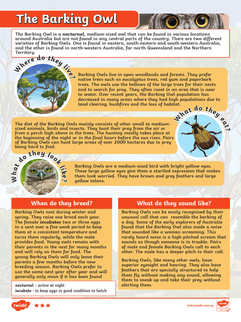 Barking Owl Differentiated Reading Comprehension - Ver - 2 | PDF | Owl ...