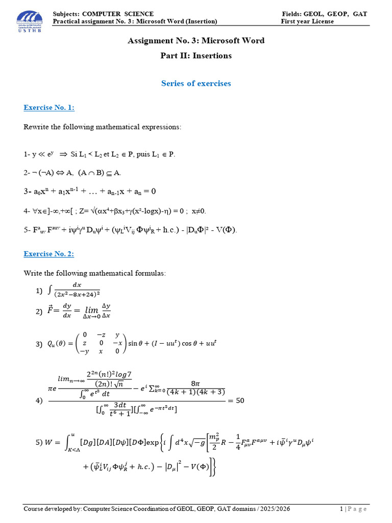 Exercise Pratical Assigment N°3 Microsoft Word (Insertion) | PDF