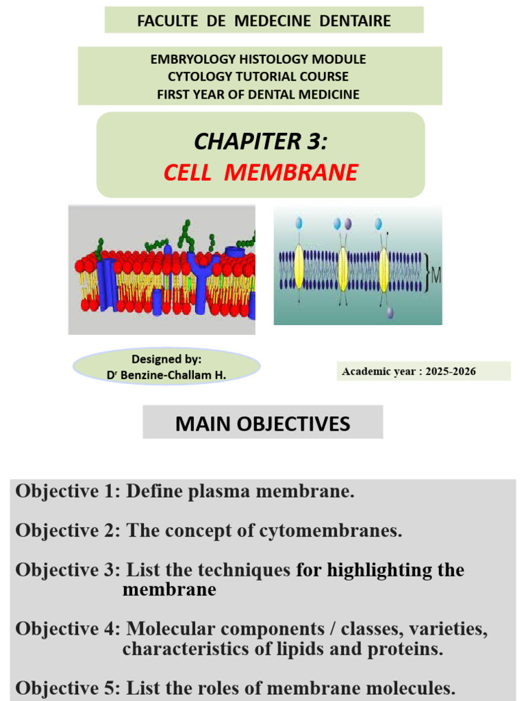Cell Membrane Overview for Dental Students | PDF | Extracellular Matrix ...