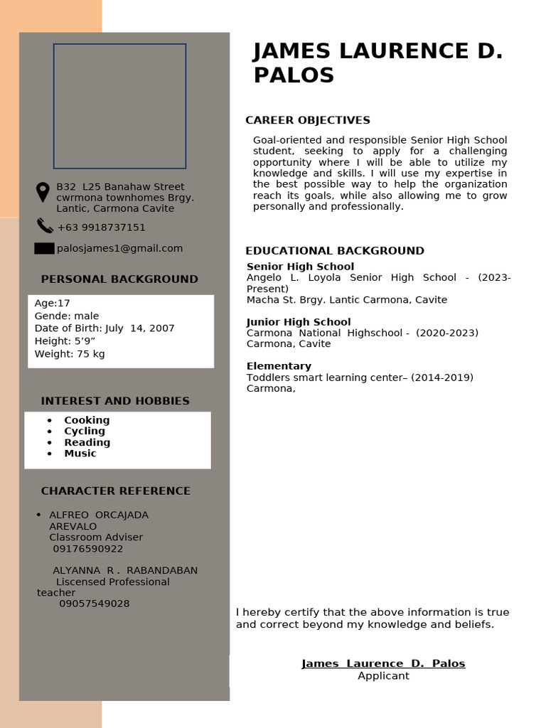 Ict Resume Template (1) | PDF