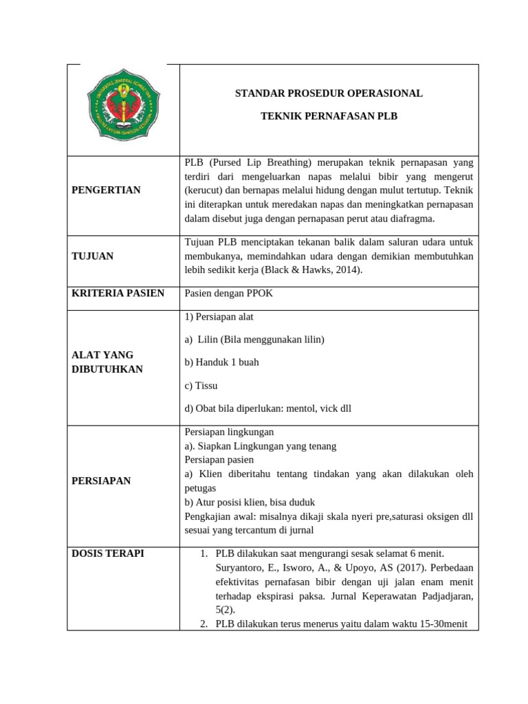 Sop Plb - Machdalena s | PDF