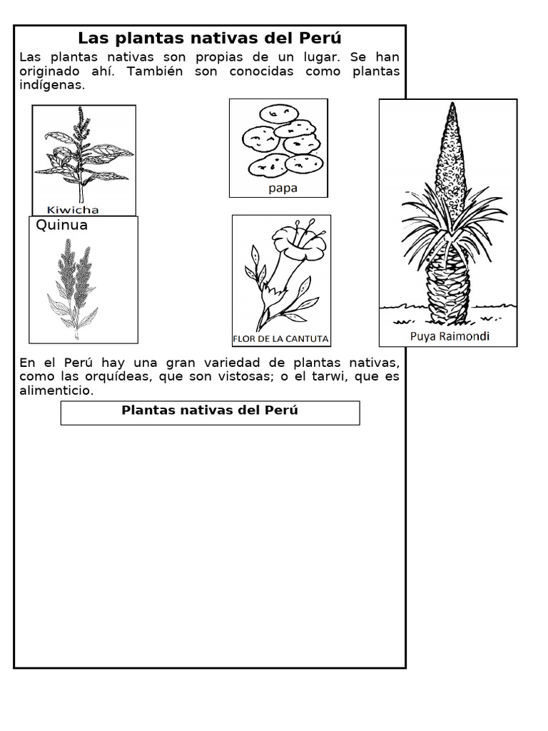 Las Plantas Nativas Del Perú | PDF