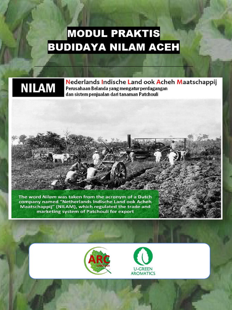 Modul Budidaya Nilam Aceh Pdf