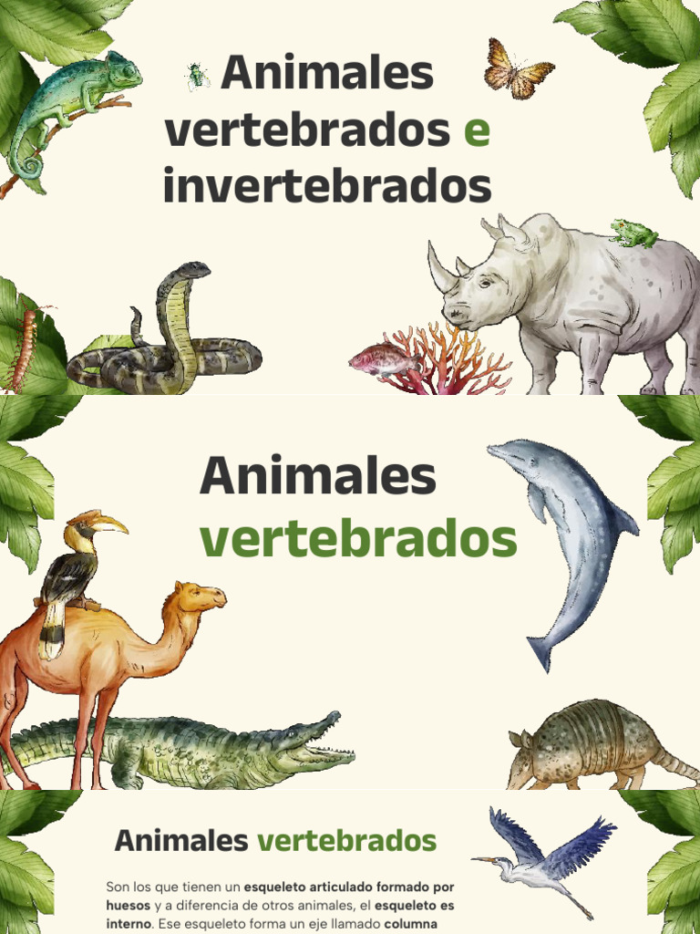 Animales Vertebrados e Invertebrados | PDF | Invertebrado | Esqueleto
