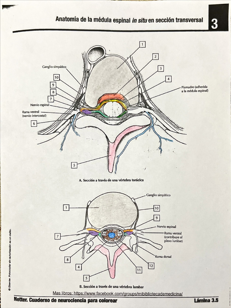 9-25-24, 9:20 p.m. Microsoft Lens | PDF