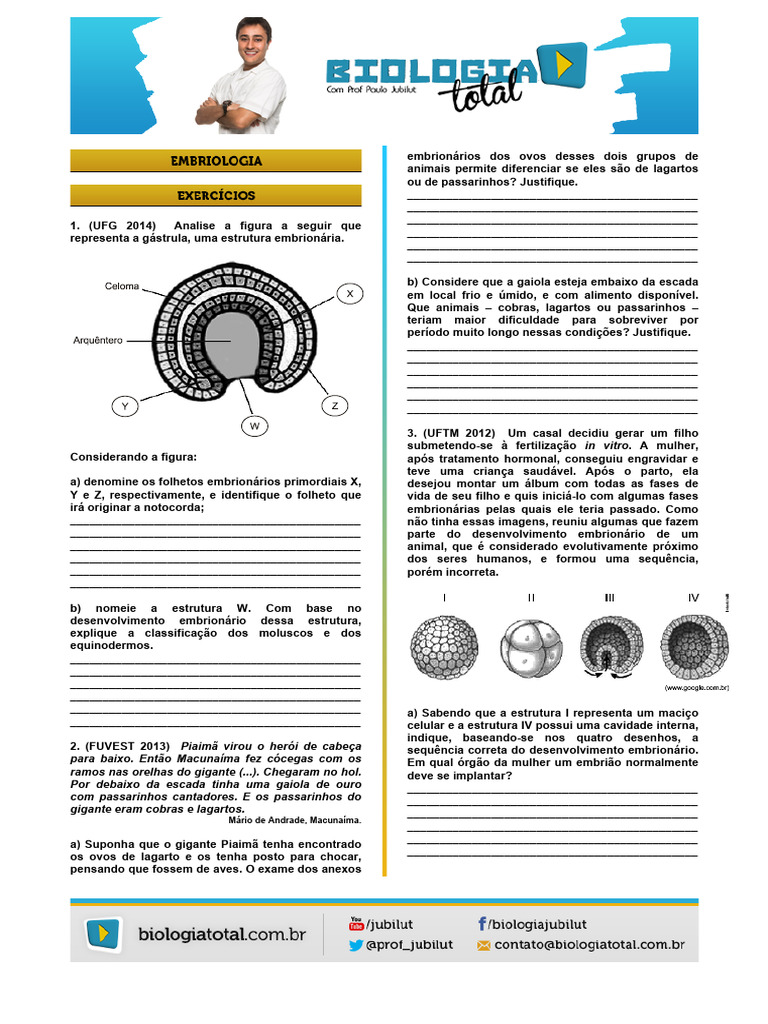 Estruturas e Desenvolvimento Embrionário | PDF | Embrião | Ovo