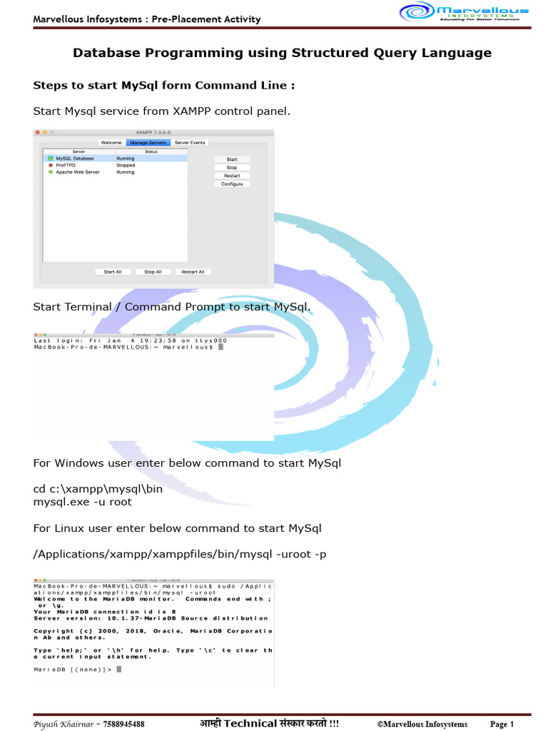 Marvellous Pre-Placement Activity - Database Programming using ...