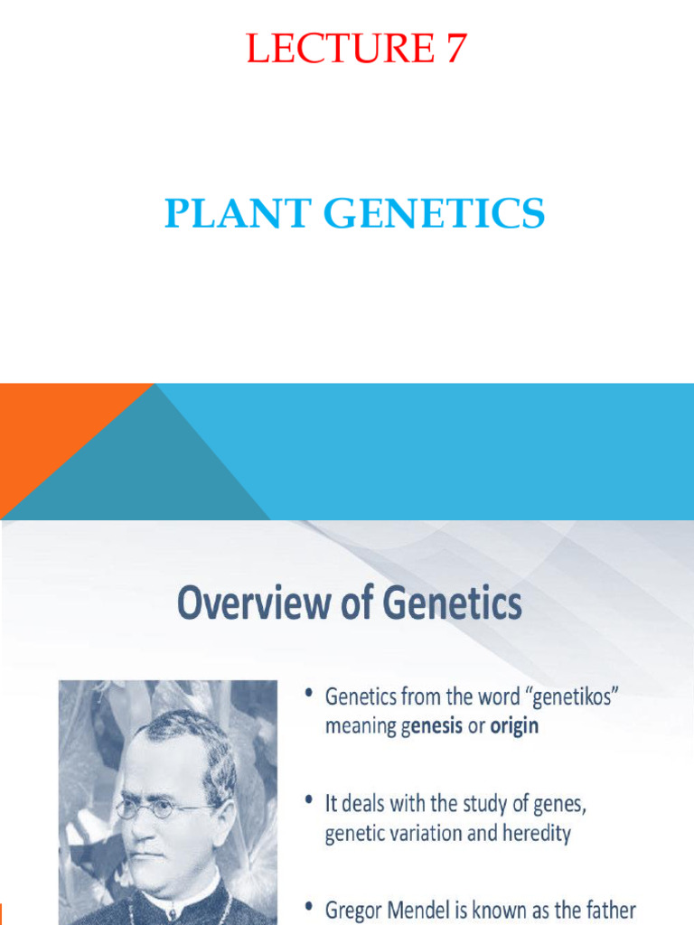 Understanding Plant Genetics Basics | PDF | Plant Breeding | Genetics