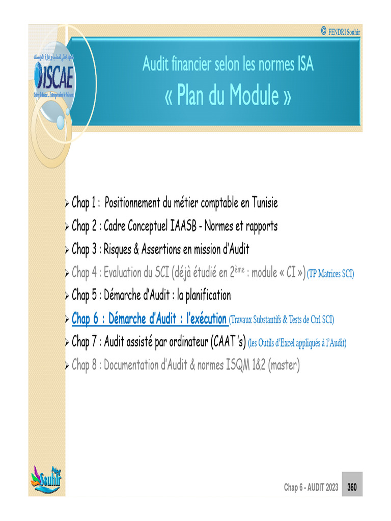 Audit financier : Phase d'exécution ISA | PDF | Microsoft Excel | Audit