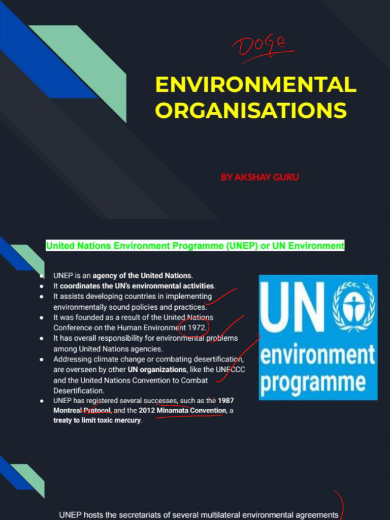 Environmental Organisations 1 1 | PDF
