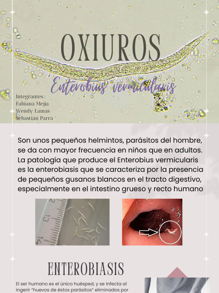 Oxiuros: Causas, Síntomas y Tratamiento | PDF