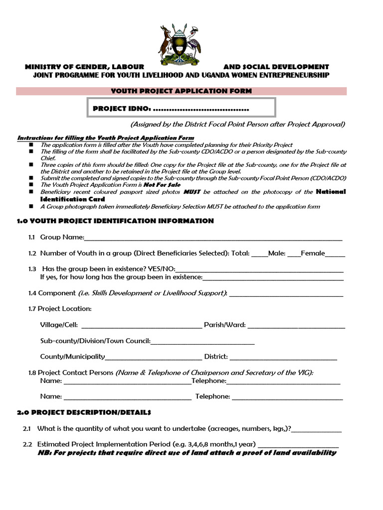 Joint Prog Revised Application Form | PDF