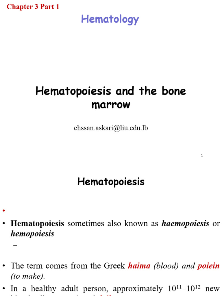 Understanding Hematopoiesis Process | PDF | Haematopoiesis | Bone Marrow