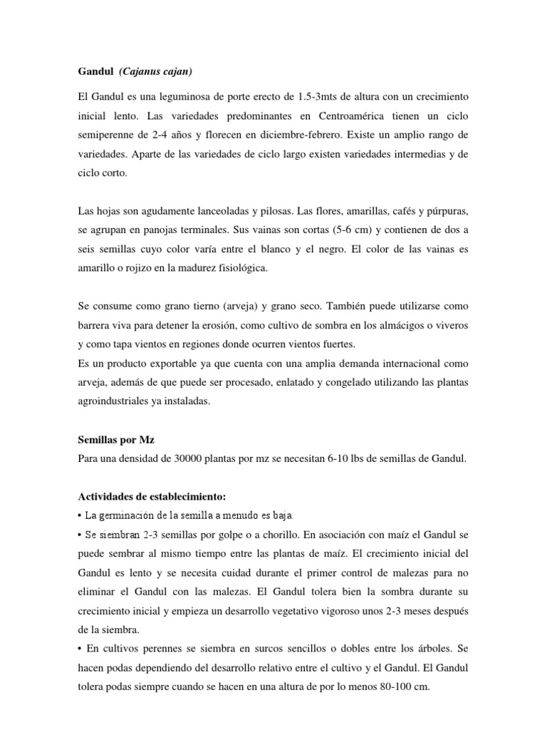 Cultivo y beneficios del Gandul | PDF | Legumbre | Suelo
