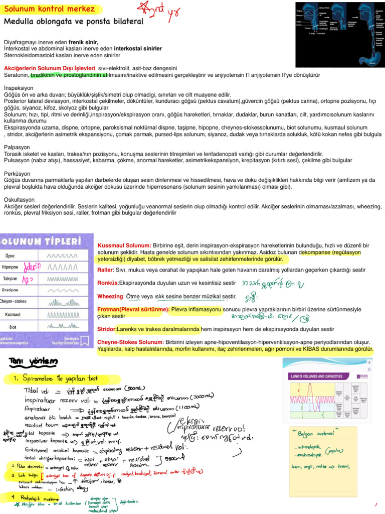 Internal Medicine Notes 4 | PDF