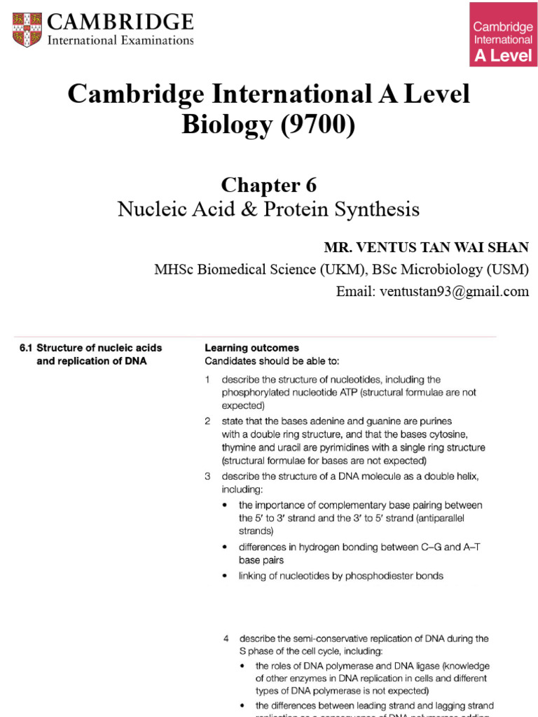 Nucleic Acids and Protein Synthesis Overview | PDF | Rna | Translation ...