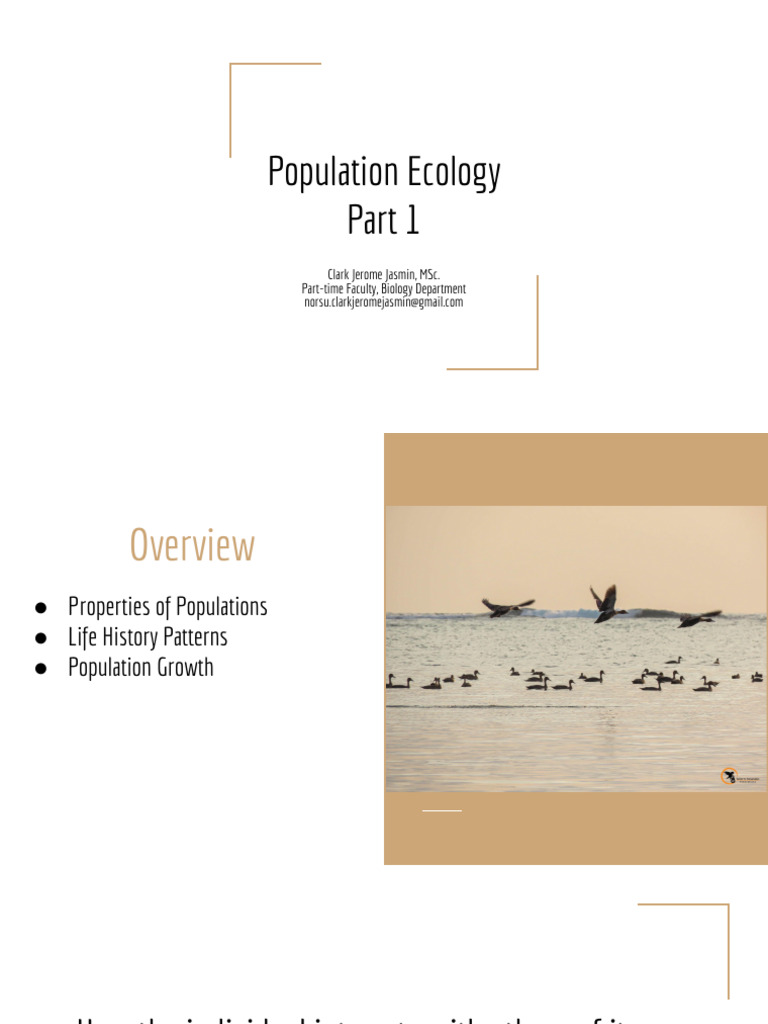 Understanding Population Ecology Basics | PDF | Ecological Niche ...