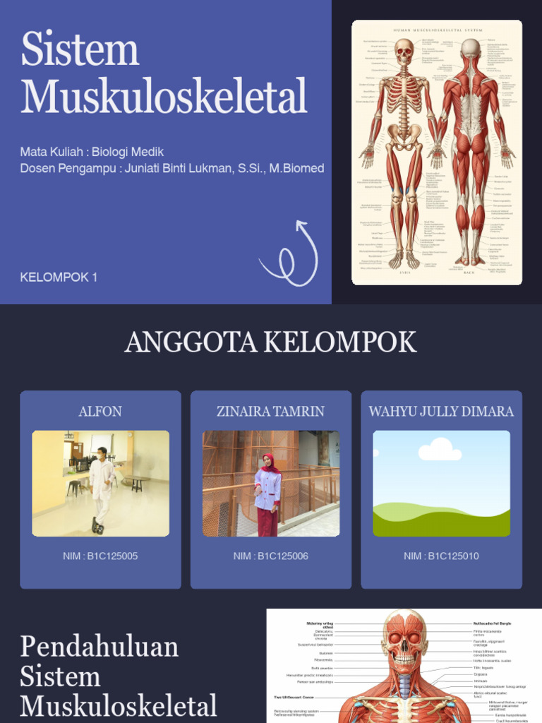 Pentingnya Sistem Muskuloskeletal | PDF