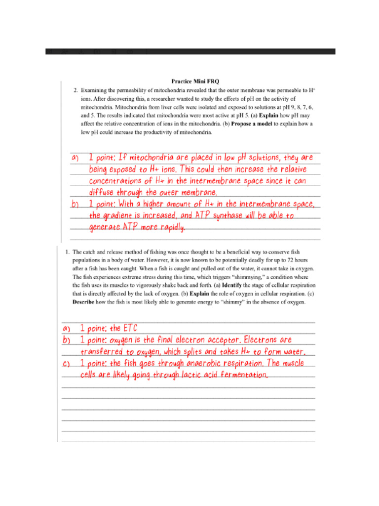 Answer Key To Practice Mini FRQ in CR Packet | PDF