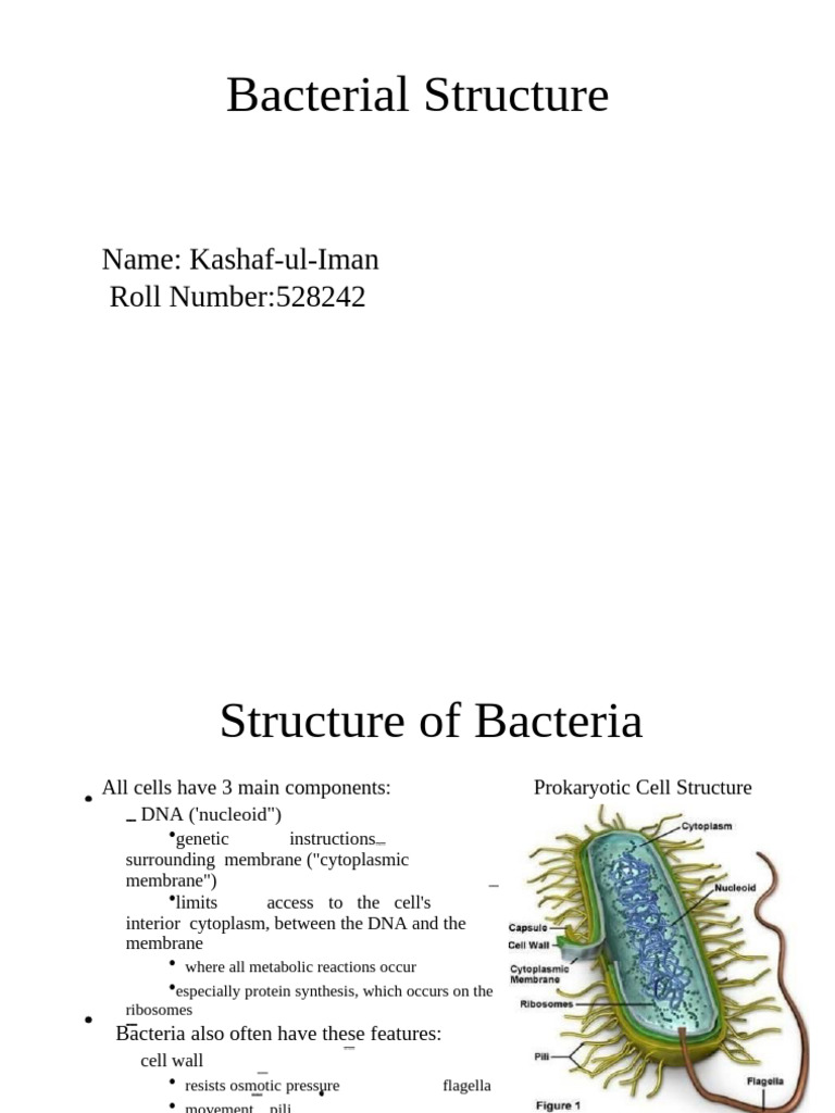Kashfa | PDF | Cell Membrane | Cell (Biology)