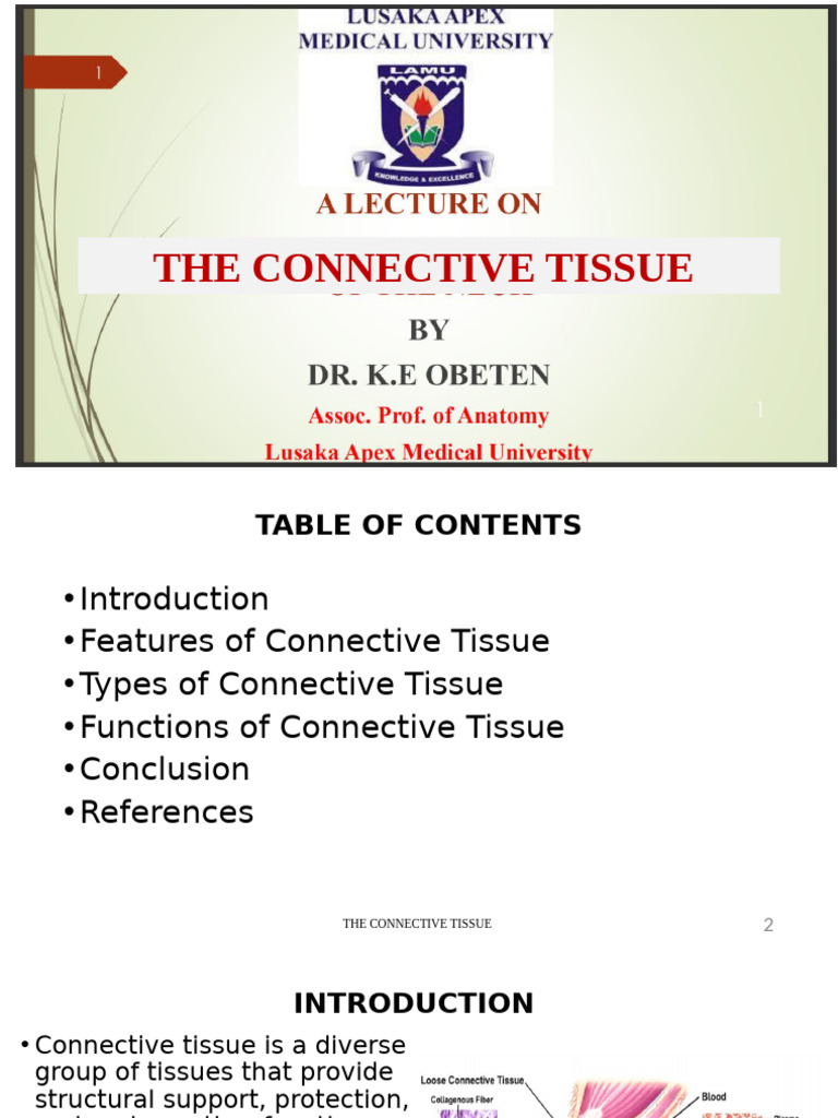 Connective Tissues 3 | PDF | Connective Tissue | Extracellular Matrix