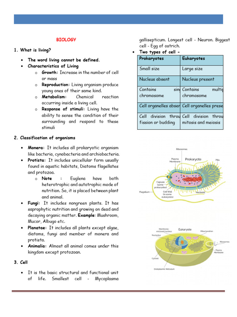 Science NCERT Summary @TechMonUPSC | PDF | Cell (Biology) | Plant Hormone