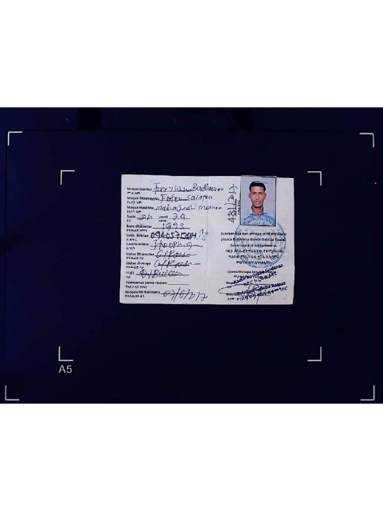 Proof of Identity | PDF