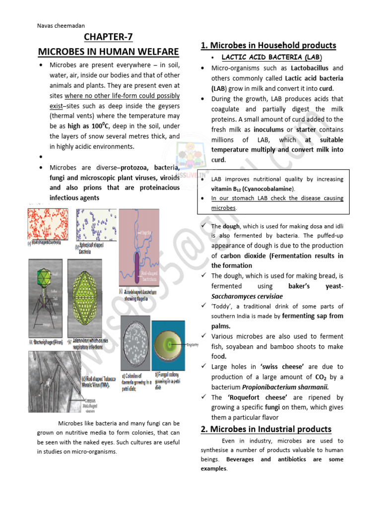 Hsslive Xii Zoology 07 Microbe 2025 | PDF | Sewage Treatment | Biogas