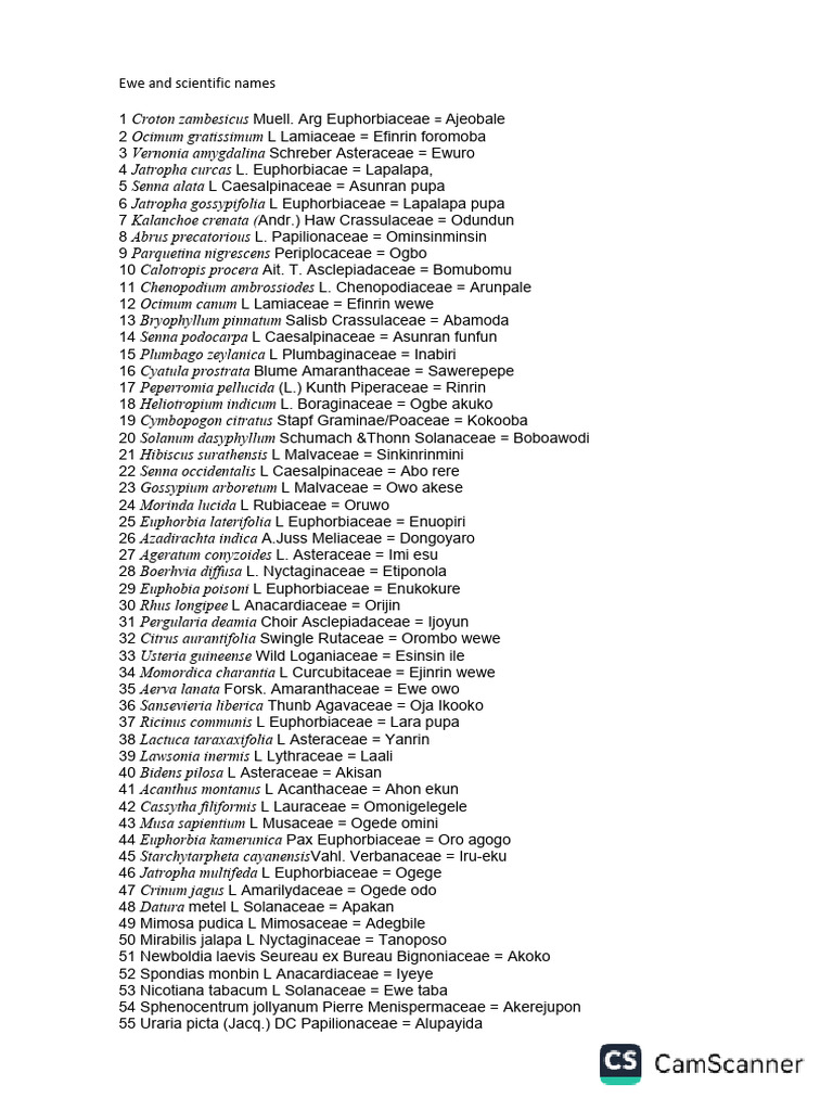 Ewe and Scientific Plant Names List | PDF