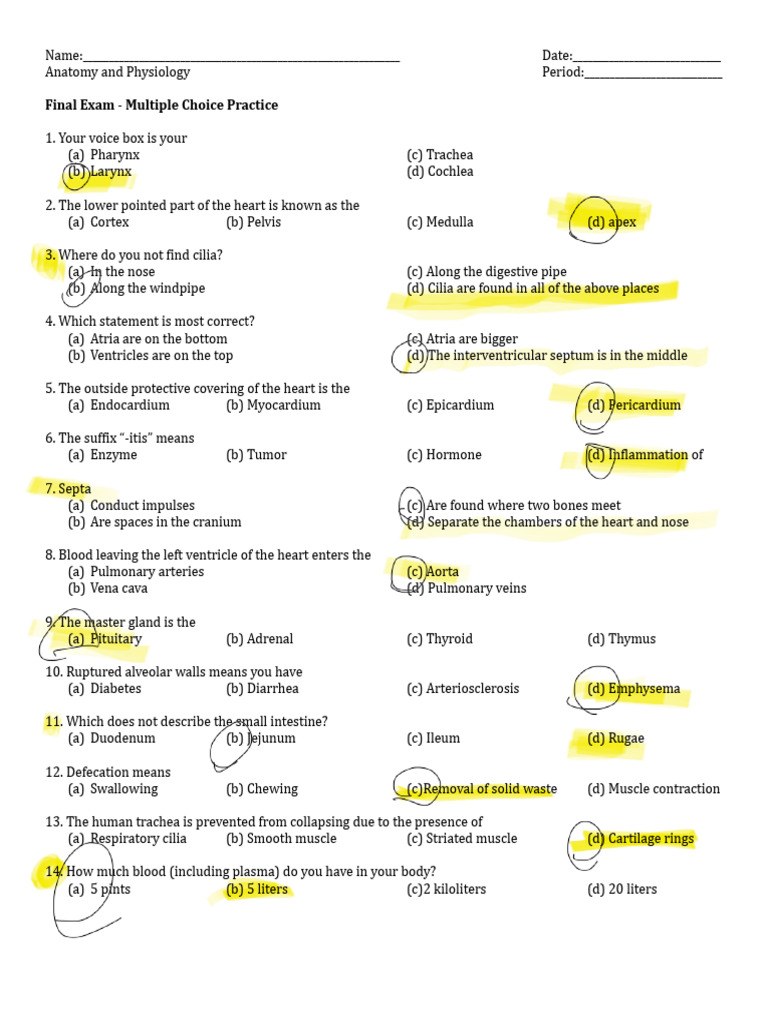Final Exam Practice Questions | PDF | Coeliac Disease | Irritable Bowel ...