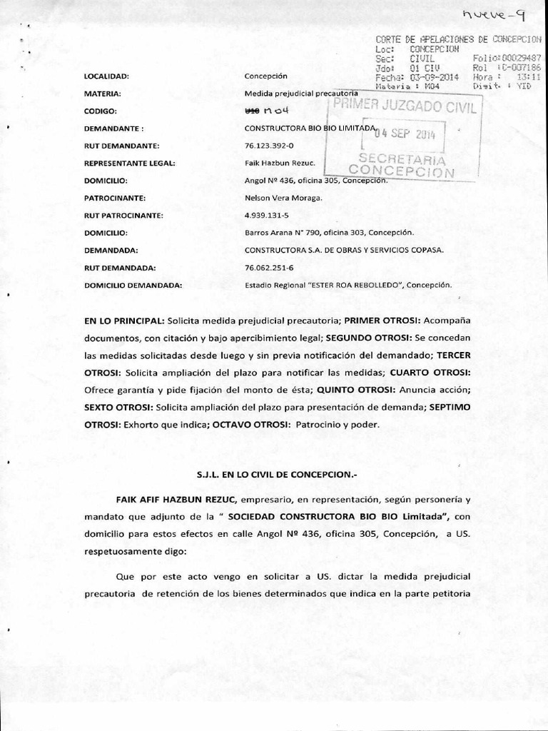 Modelo 2025 Medida | PDF