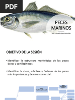 Tipos y funciones de las aletas en peces | PDF | Pescado | Vertebrados ...