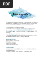 Estructura y función de los miocitos | PDF | Músculo | Biología Celular