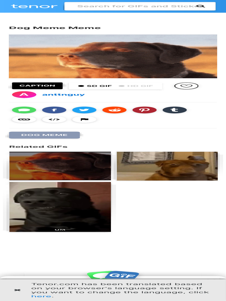 Dog Meme Meme - Dog Meme - Discover & Share GIFs | PDF