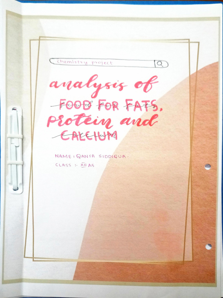 Analysis of Food For Fats Protein and Calcium - New | PDF