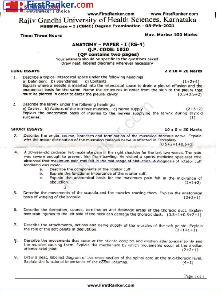 FR Anatomy Paper I Question Paper | PDF