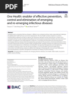 Task Force for Global Health Overview | PDF | Diseases And Disorders ...