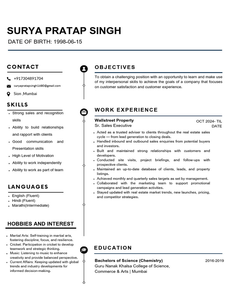Blue and Gray Simple Professional CV Resume | PDF | Sales | Business