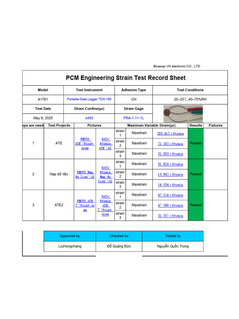 Zhuneng Strain Test Report - 20250508 - DC | PDF