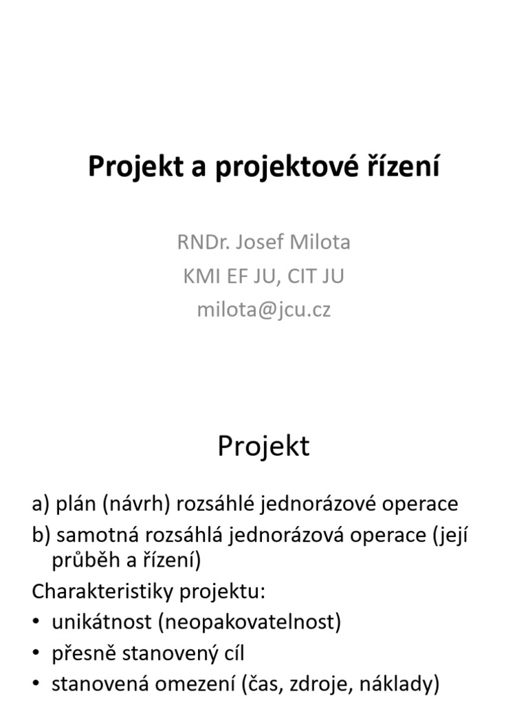 03 Projekt A Projektove Rizeni | PDF
