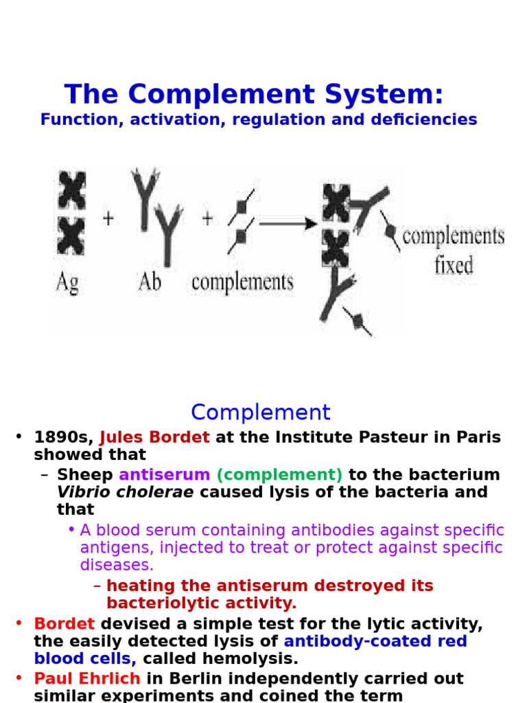 Understanding The Complement System Pdf 7448