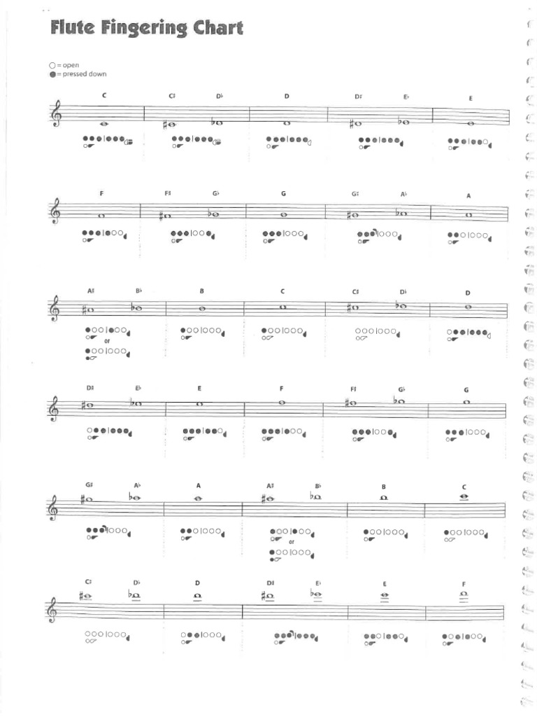 Band Fingering Charts | PDF