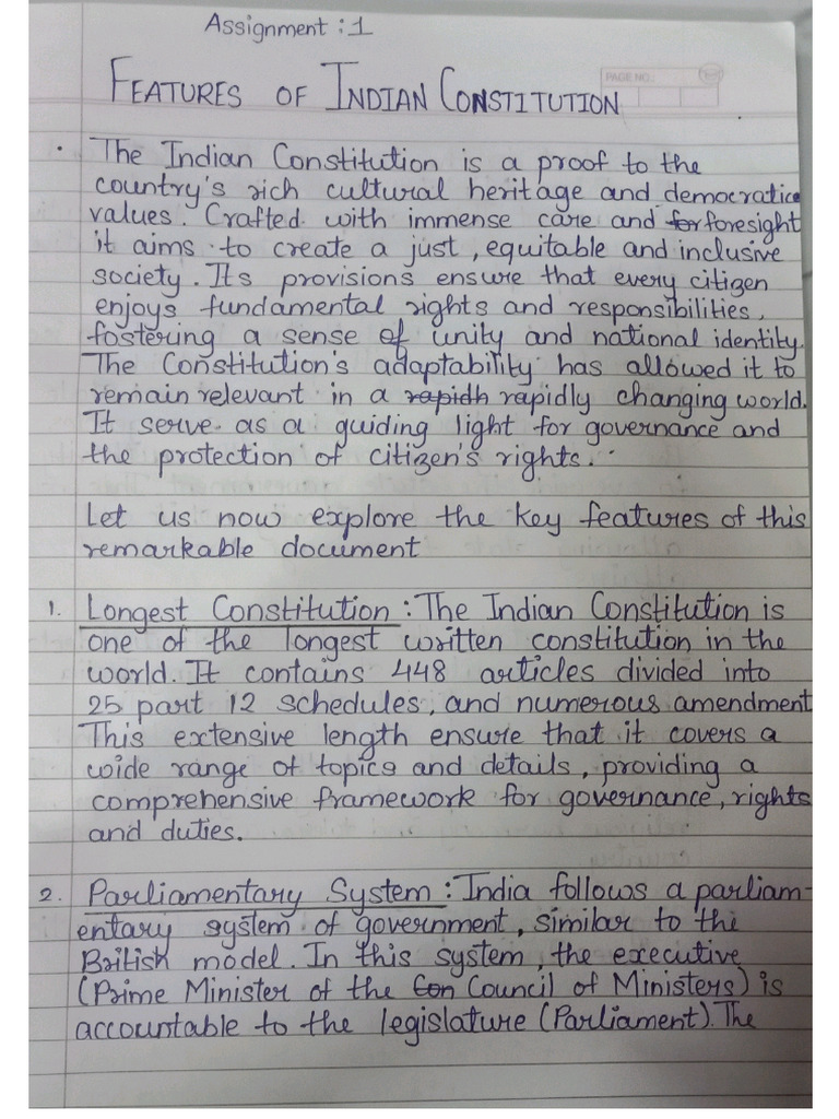 Another Constitution Project | PDF