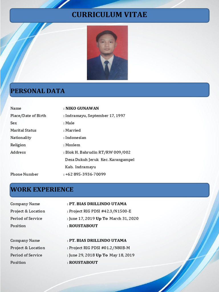 CV Niko Gunawan | PDF