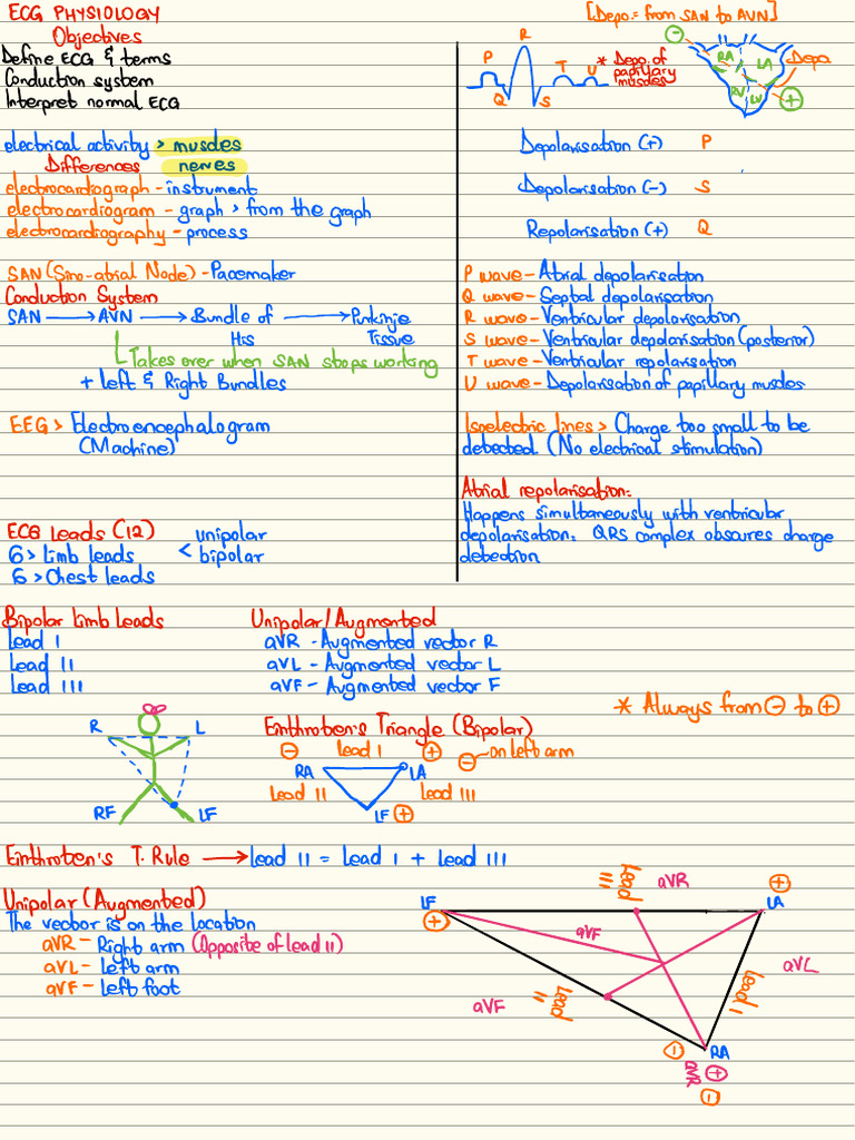 ECG Practical | PDF