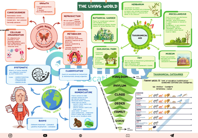 Taxonomy and Classification of Living Organisms | PDF | Genus | Biology