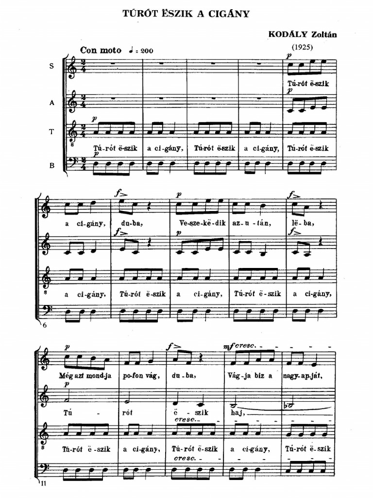 Partitura - Türot Ëszik A Cigány | PDF