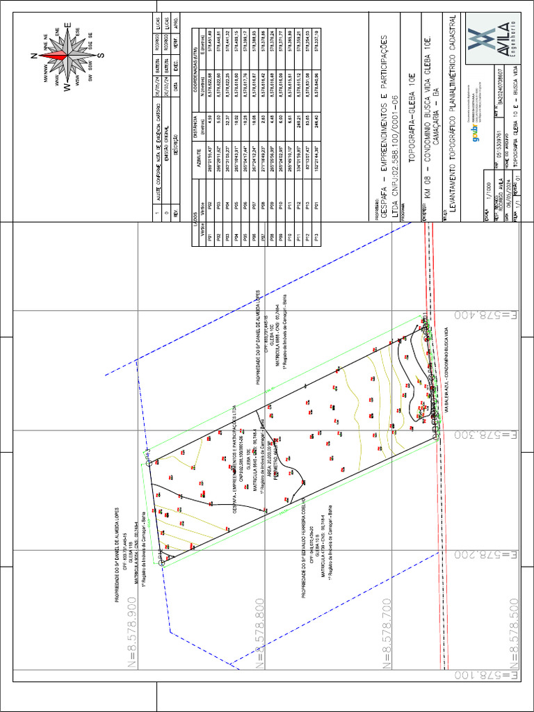 Topografia - Gleba 10e-Planta Rev 01 | PDF